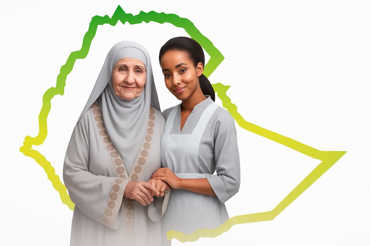 LMIS - Labor Market Information System | Federal Democratic Republic of ...
